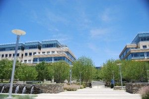 Amgen underlines ambitions in rare diseases | Biotechnology | The ...